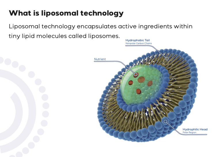 Liposomal Technology for better Bioactivity - RD Health Ingredients LLC
