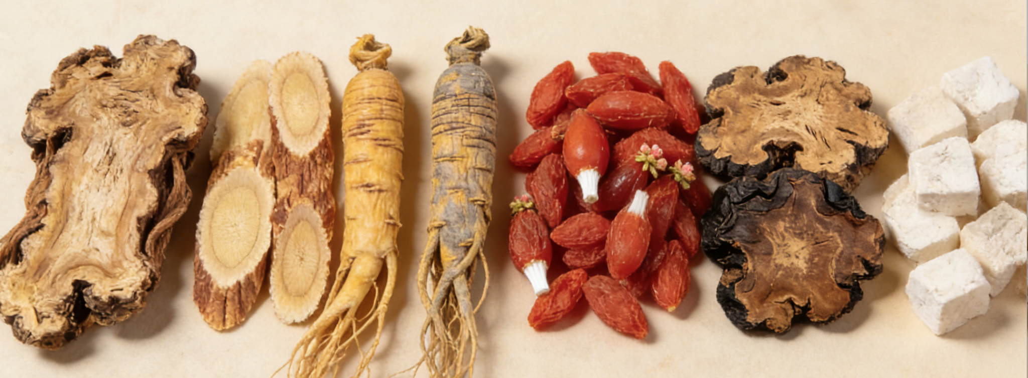 Authentic Chinese Medicinal Herbs (Dao Di Herbs) - RD Health ...